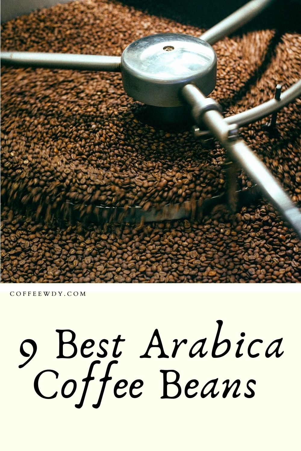 Best Arabica Coffee Beans :The Top 9 Flavors Not To Miss!